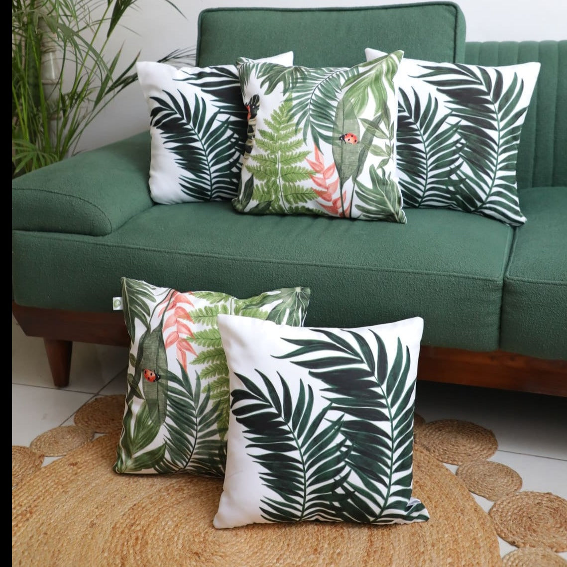 Enchanted Forest X Rainforest Rhapsody - Combo - Set of 5 – Lushlyf